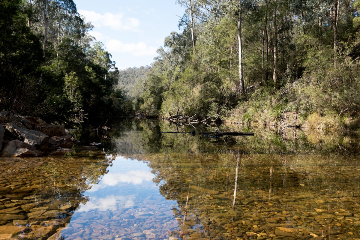 EGCMA | Nicholson River
