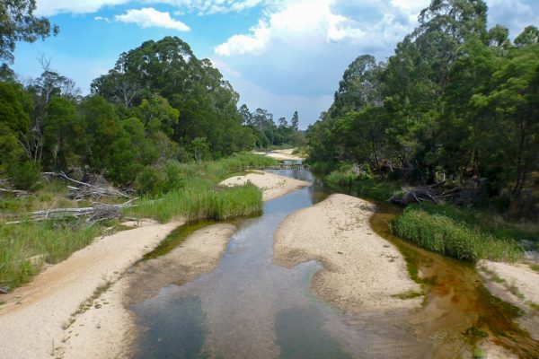 EGCMA | Cann River