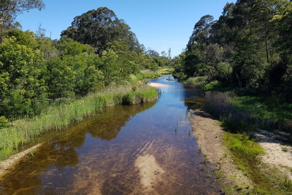 EGCMA | Cann River
