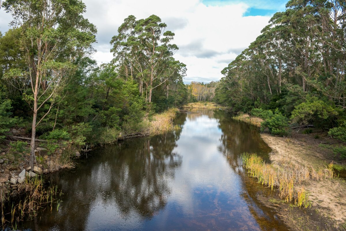 EGCMA | Cann River