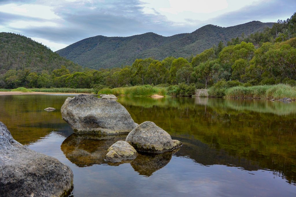 EGCMA | Snowy River
