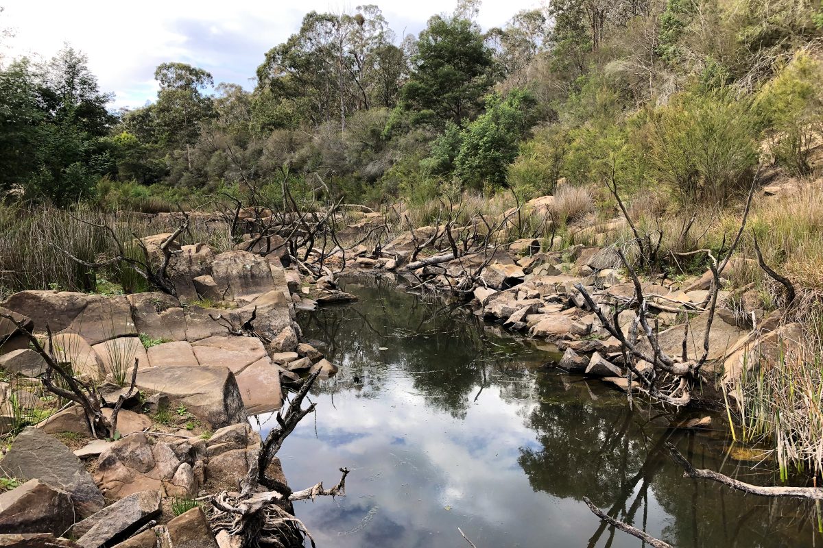 EGCMA | Nicholson River