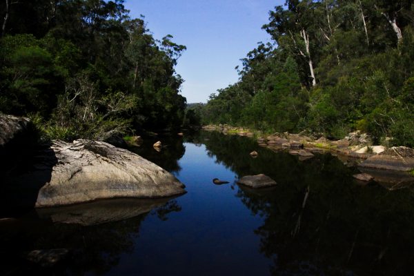 EGCMA | Cann River