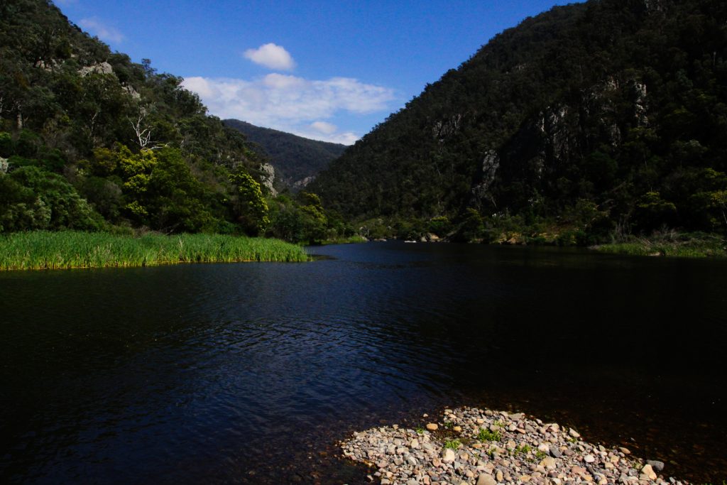 EGCMA | Snowy River