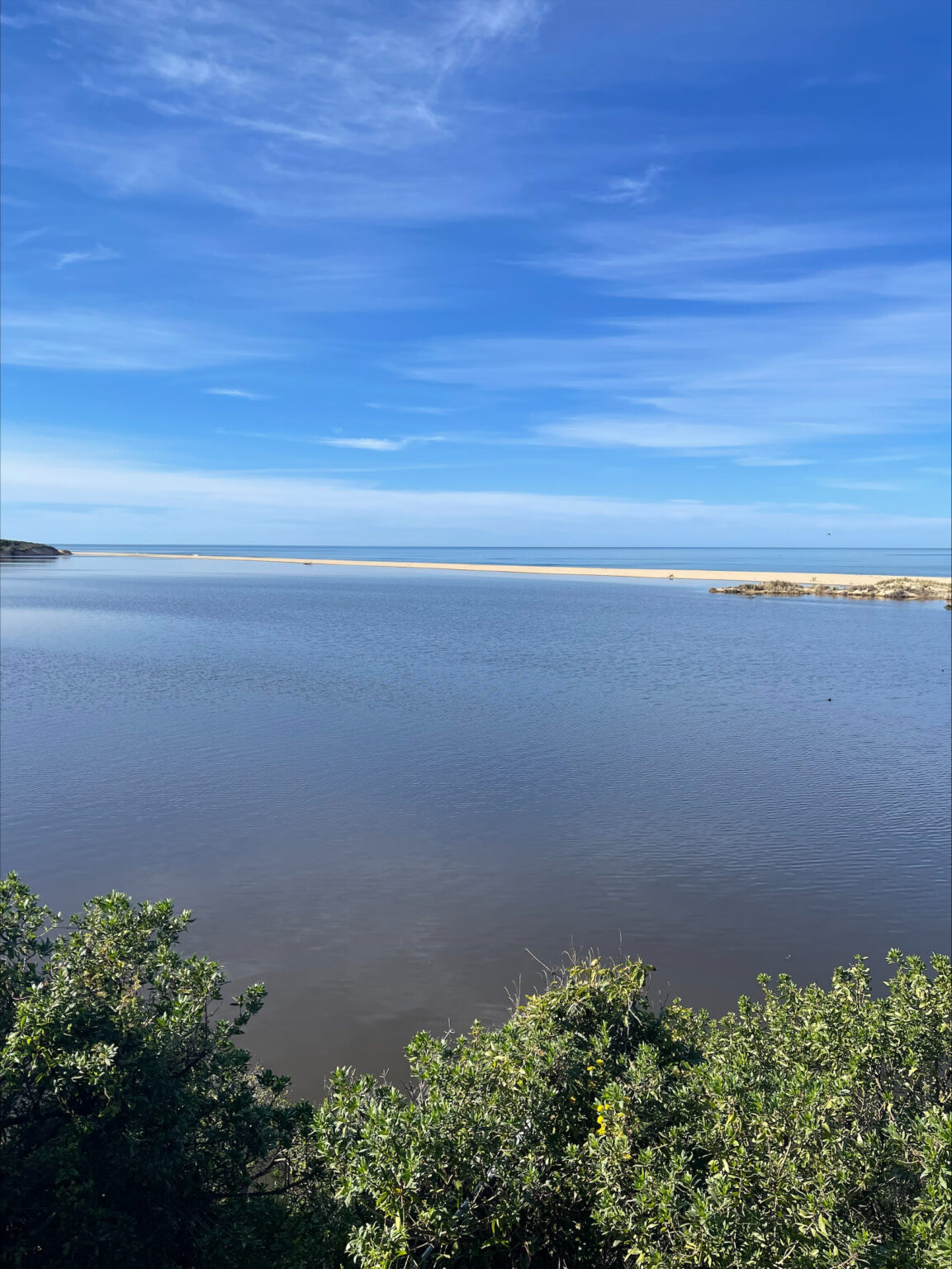 EGCMA | Lake Tyers Estuary: lake heightens discussions