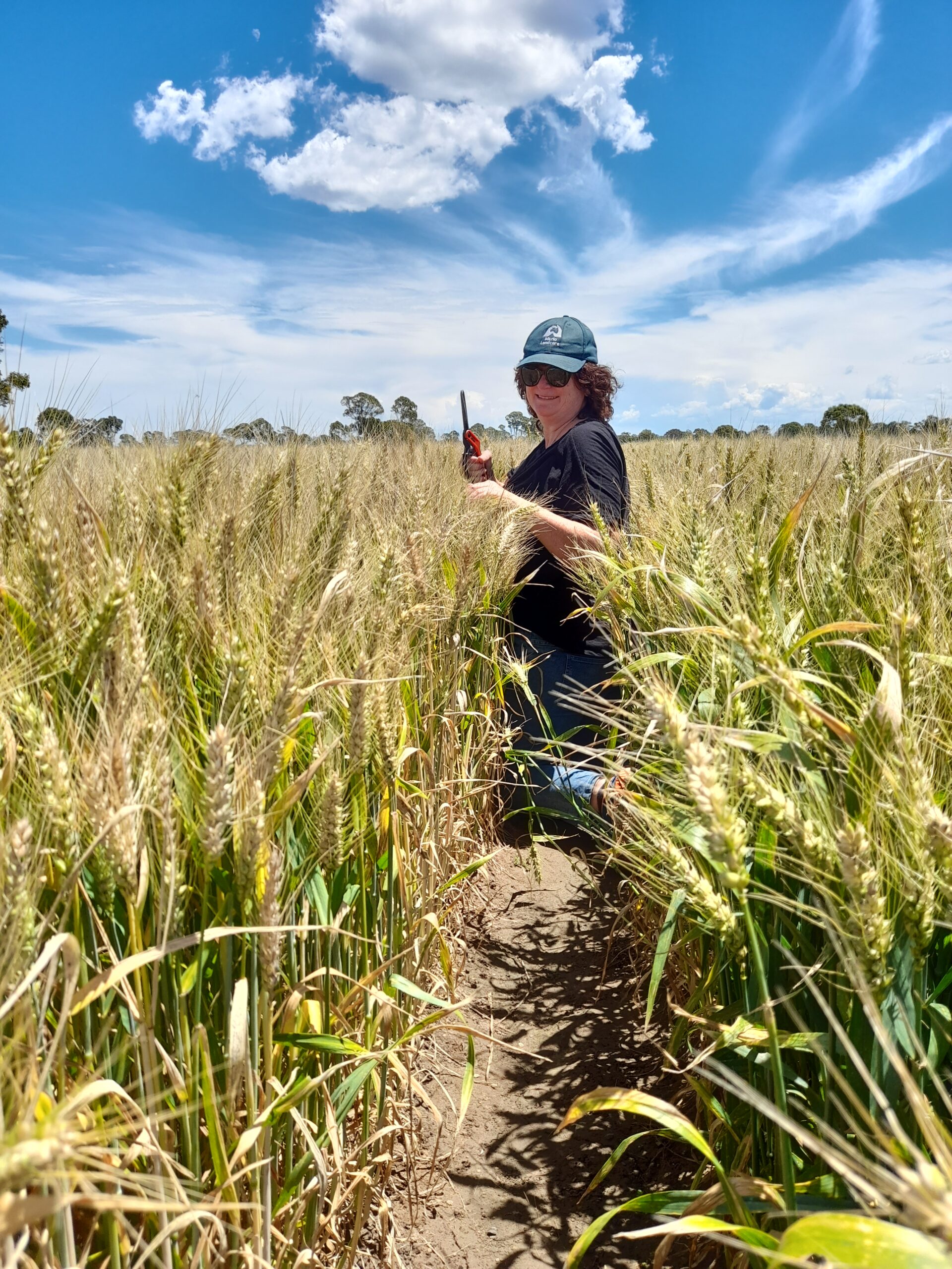 EGCMA | Supporting Sustainable Farming in East Gippsland